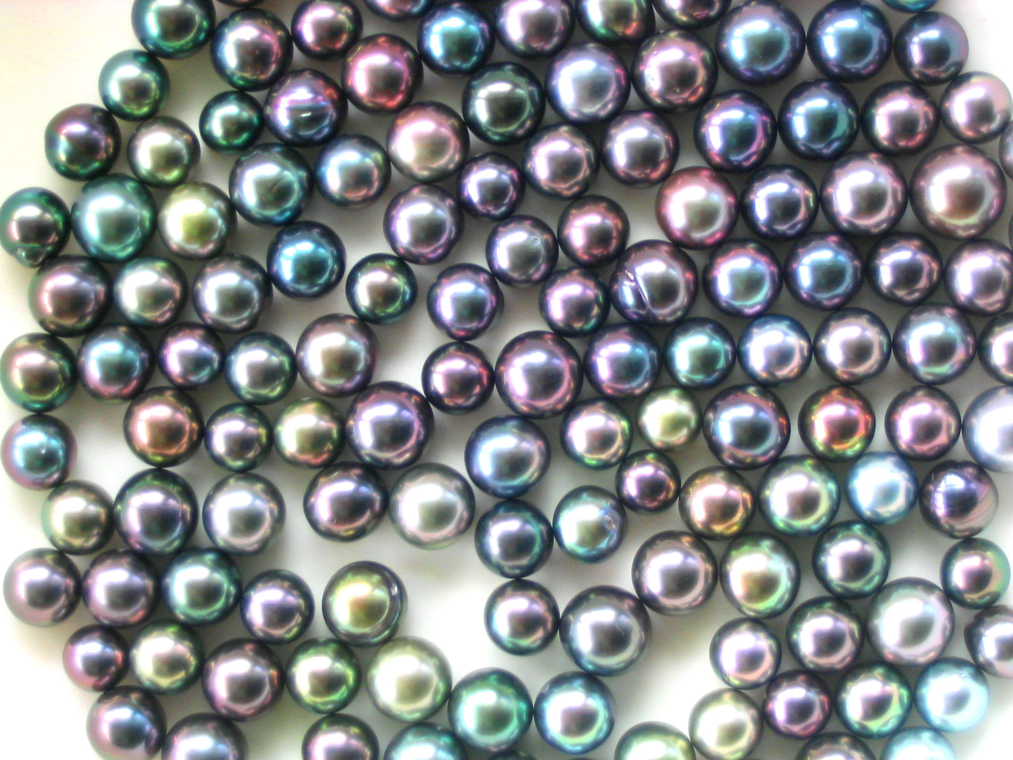 La Perle de culture de Tahiti – Direction des Ressources Marines