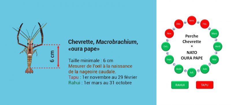 Réglementation Rahui – Direction des Ressources Marines