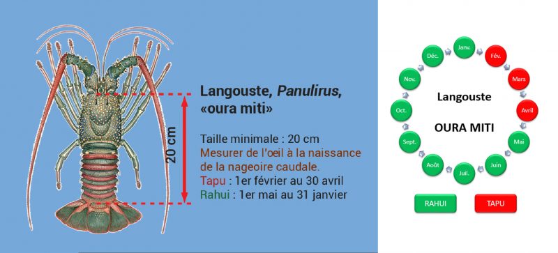 Réglementation Rahui – Direction des Ressources Marines