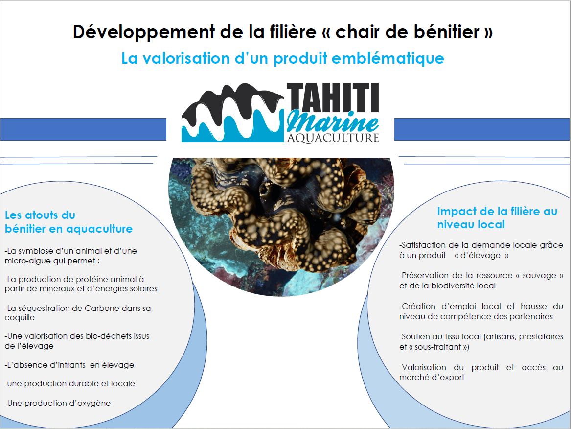 Pose de la 1ère pierre de Aruhotu Zone Biomarine – Direction des ...