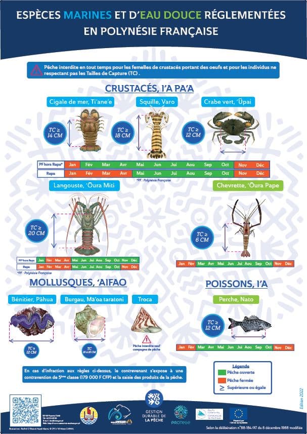 Réglementation Rahui – Direction des Ressources Marines