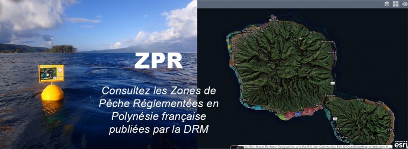 Zones de pêche règlementée (ZPR) – Direction des Ressources Marines