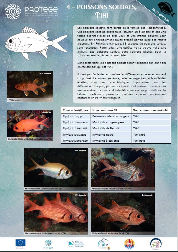 Formation à la gestion des pêches – Direction des Ressources Marines