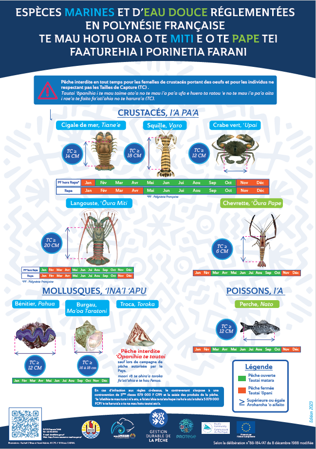 Posters – Direction des Ressources Marines