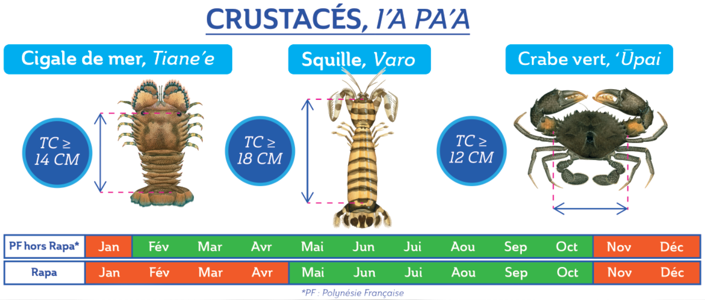 Réglementation Rahui – Direction des Ressources Marines
